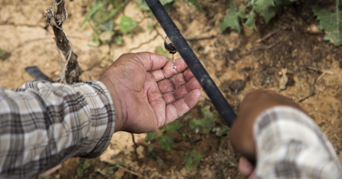 USAID Water Innovation Technologies Project Launches Pilot Study on ...